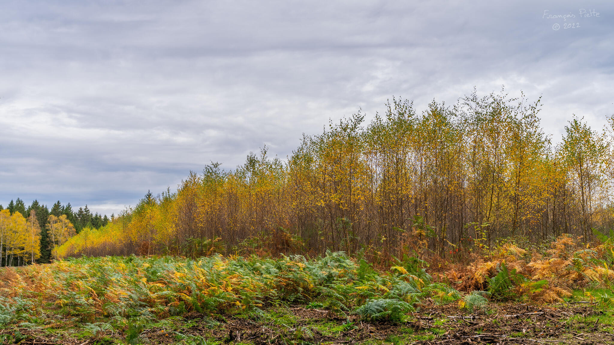 Concours - Couleurs d'automne